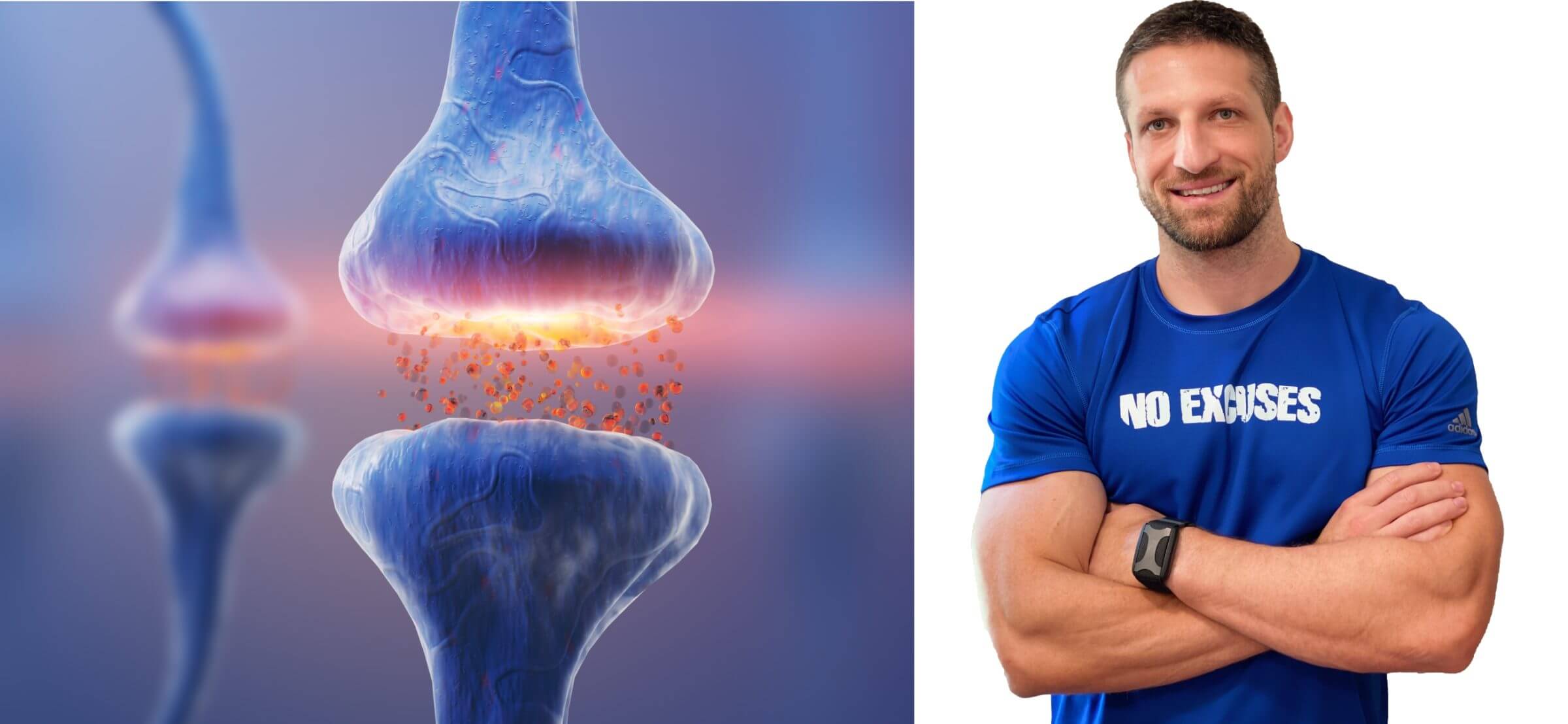 Apollo Neuro: A Wearable That Changed How I Manage Stress